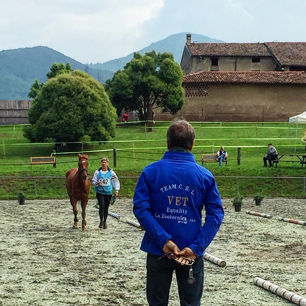 UTCVM Students Participate in Externship Abroad | Smith Center for ...