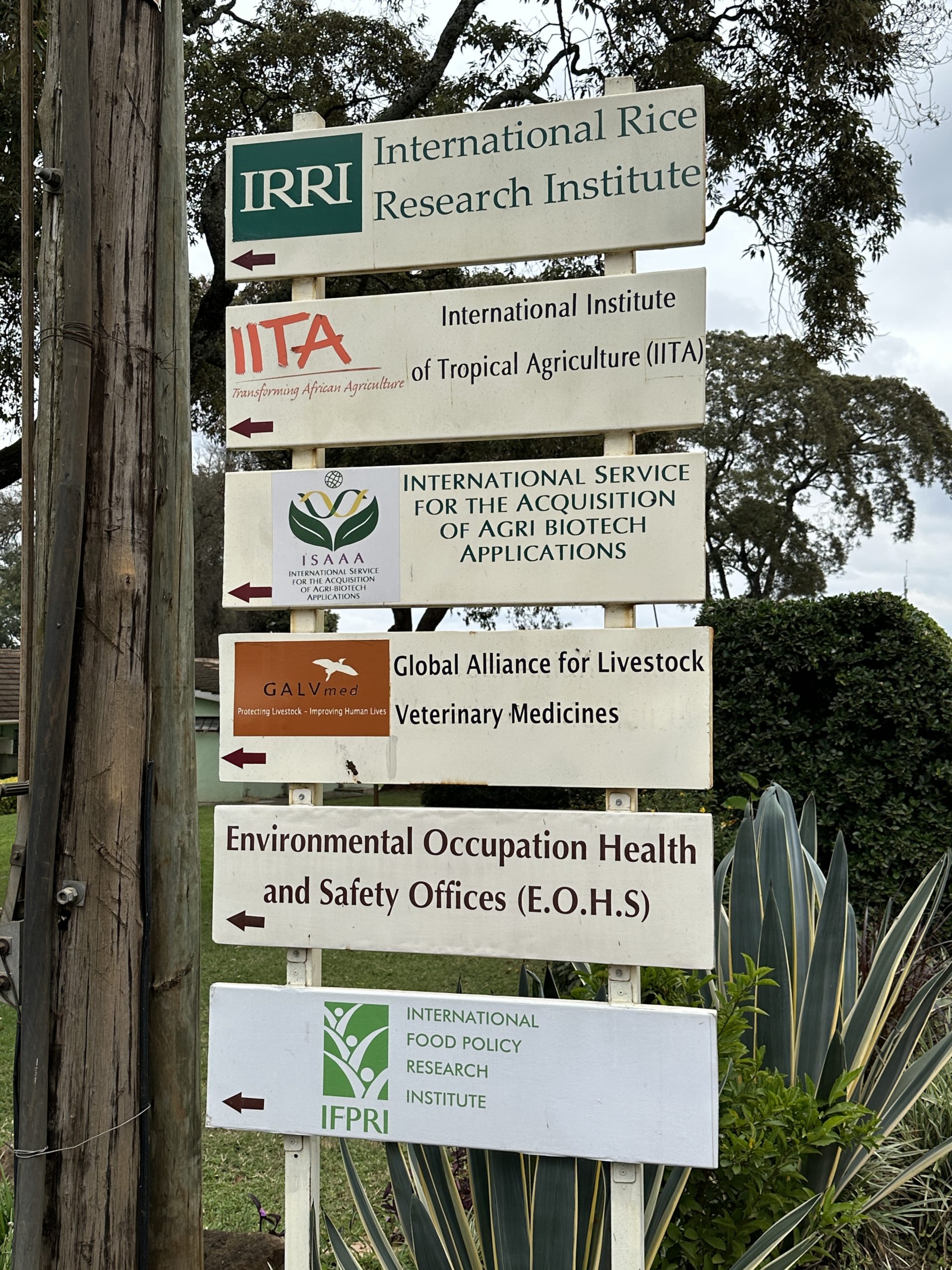 UT Delegation Reunites with 2022 USDA Foreign Agricultural Service ...