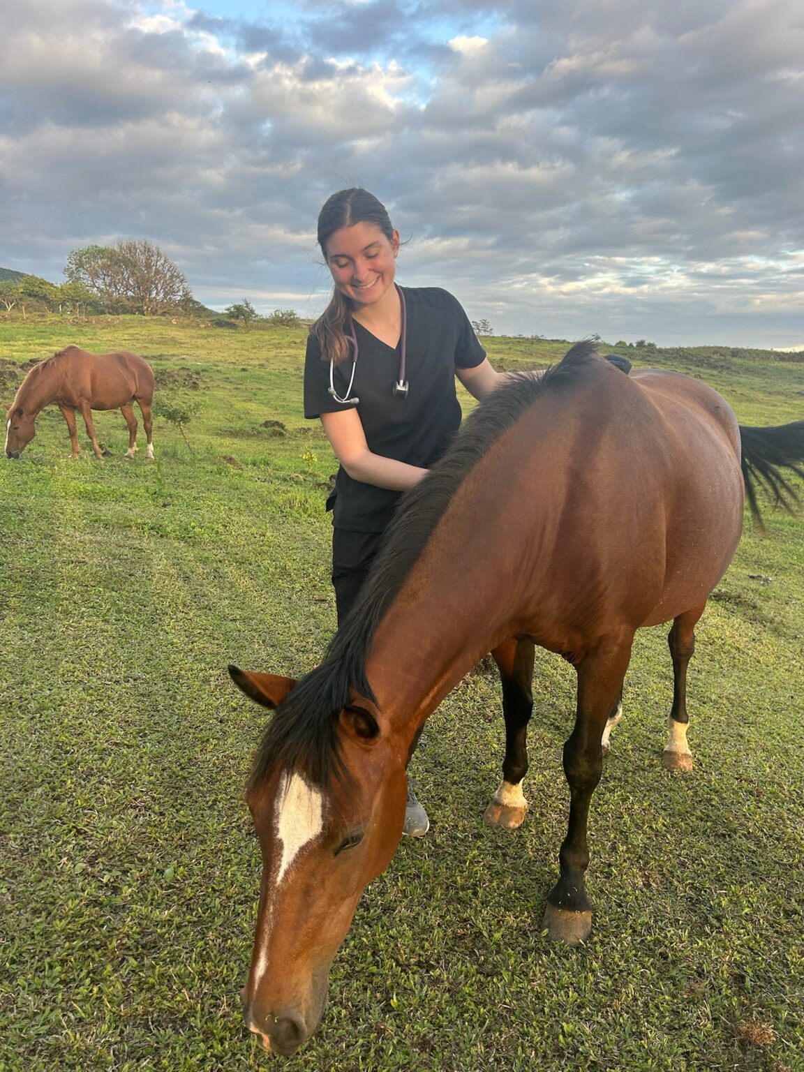 UTCVM Provides Opportunities for Vet Students to Grow Global | Smith ...