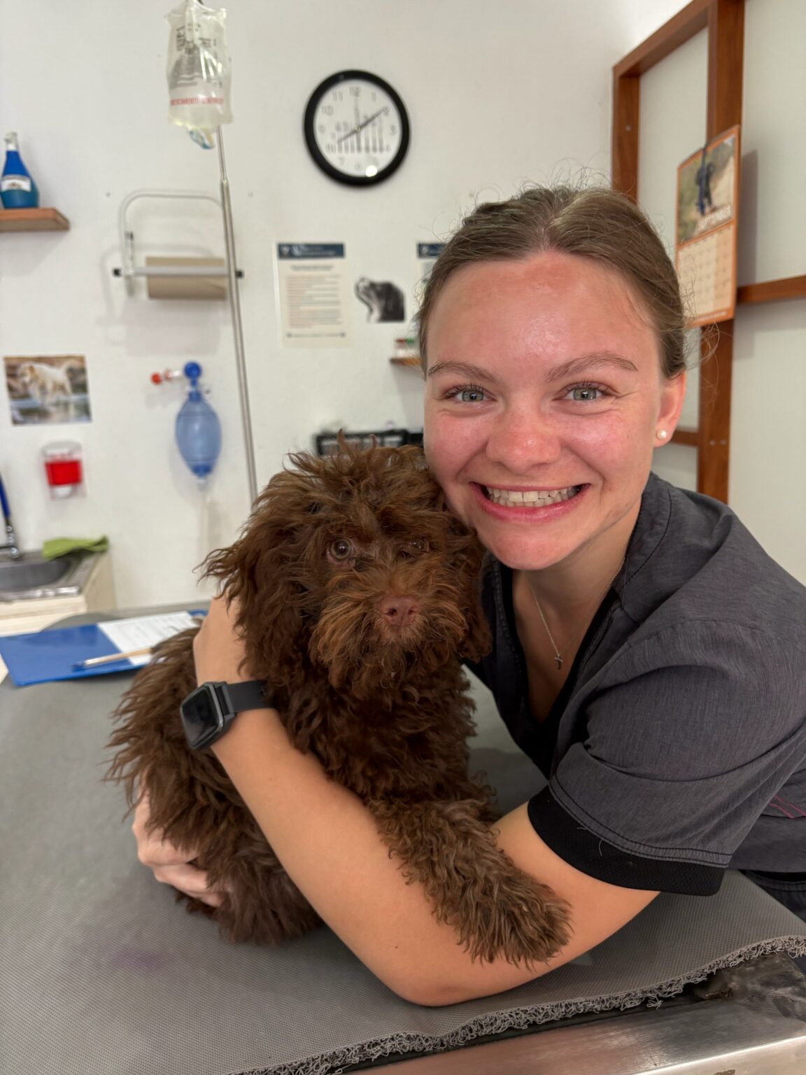 UTCVM Provides Opportunities for Vet Students to Grow Global | Smith ...