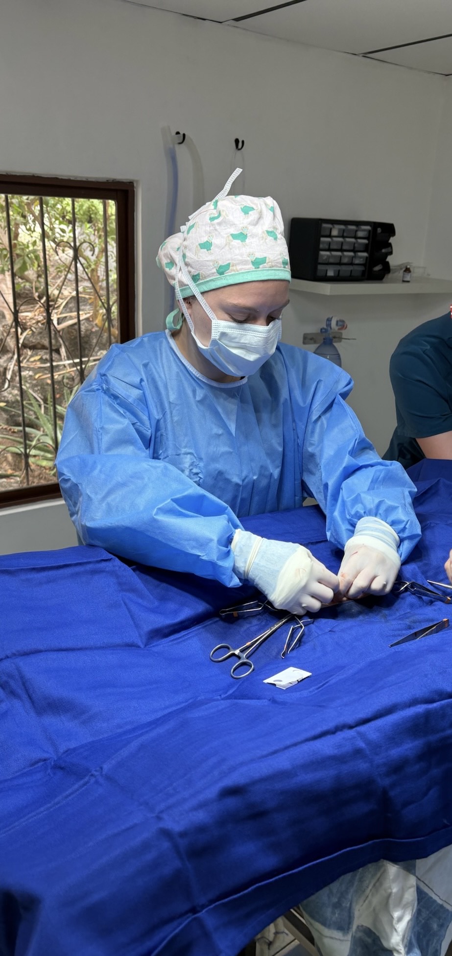 UTCVM Provides Opportunities for Vet Students to Grow Global | Smith ...
