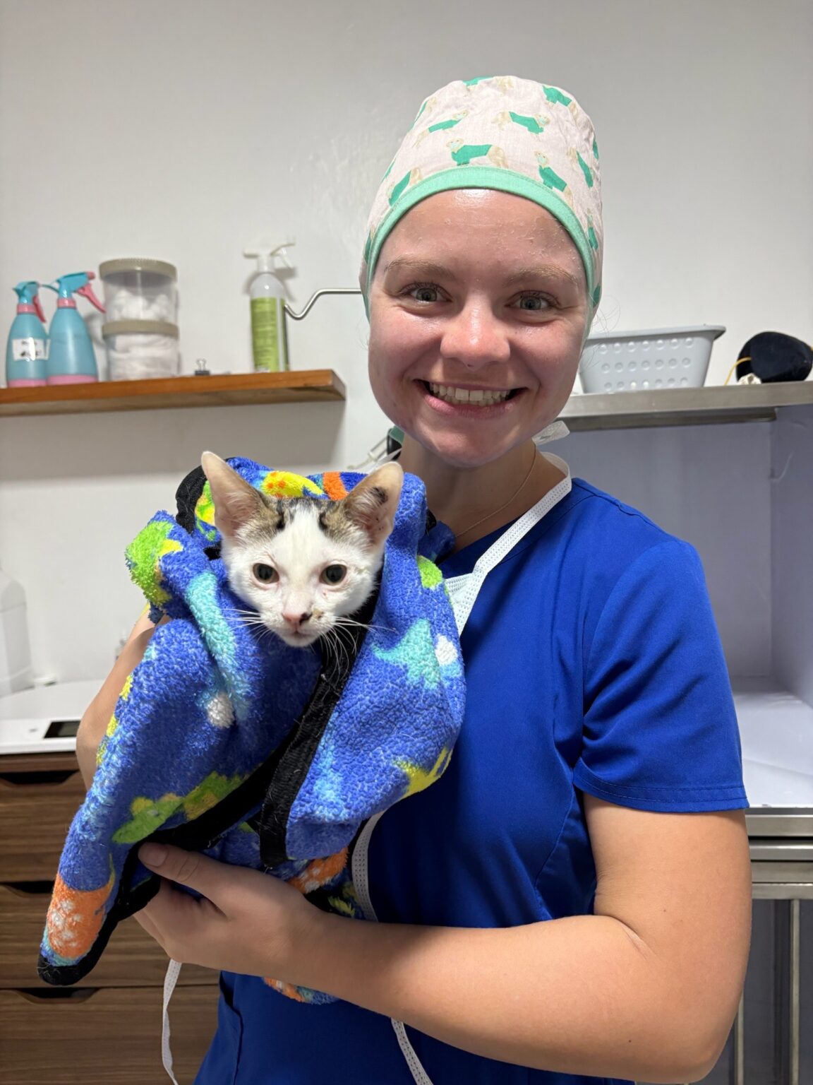 UTCVM Provides Opportunities for Vet Students to Grow Global | Smith ...