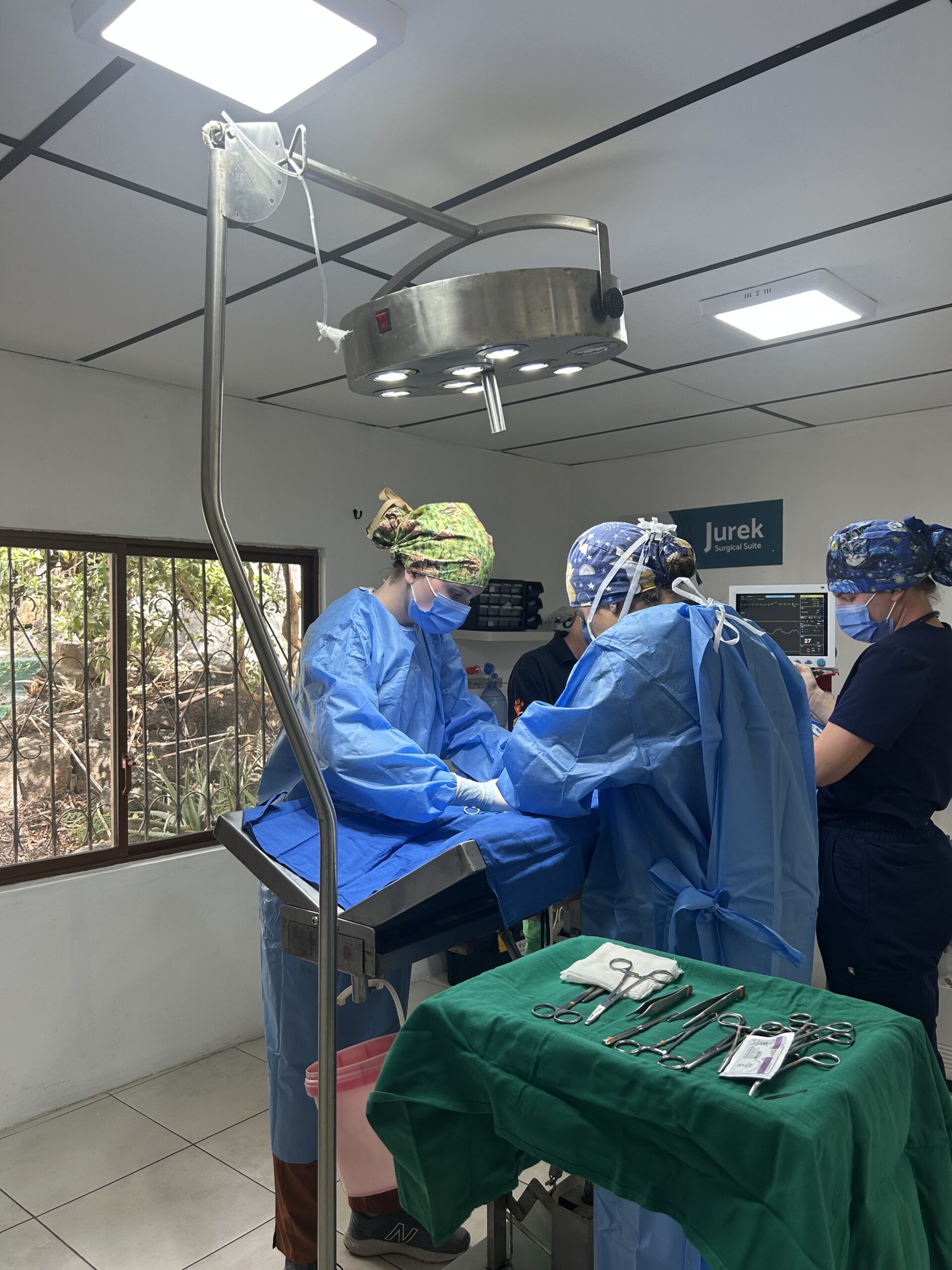 UTCVM Provides Opportunities for Vet Students to Grow Global | Smith ...