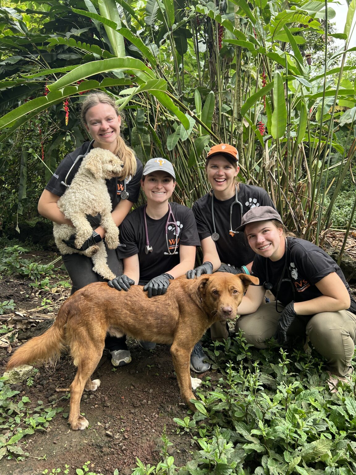 UTCVM Provides Opportunities for Vet Students to Grow Global | Smith ...